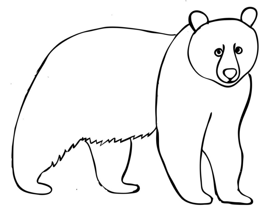 Bear Traceable - Bear Forest - Tracie Kiernan - Step By Step Painting