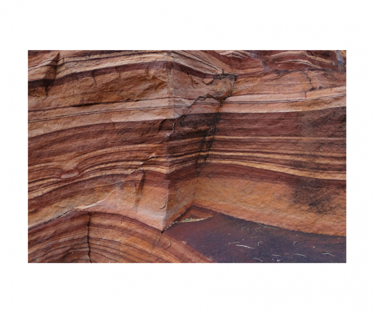 16 Tips For Beginning With Acrylic Painting - Tracie Kiernan - Step By ...