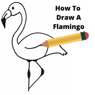 How To Draw A Flamingo - Easy Step By Step Drawing Tutorial