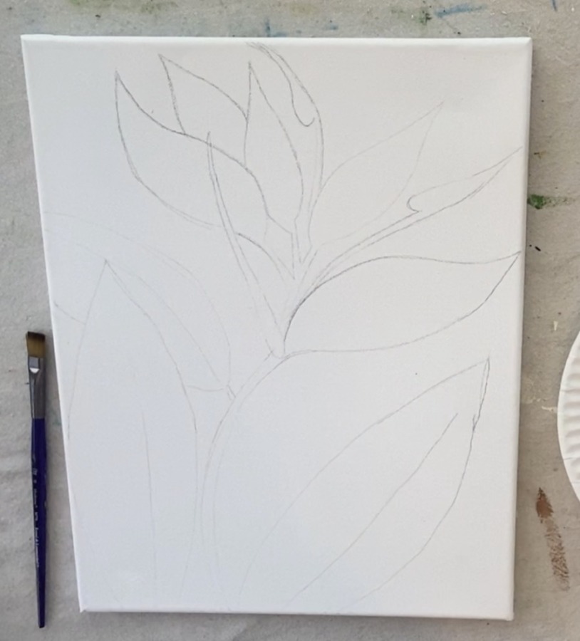 Tropical Bird Of Paradise Painting - Tracie Kiernan - Step By Step Painting