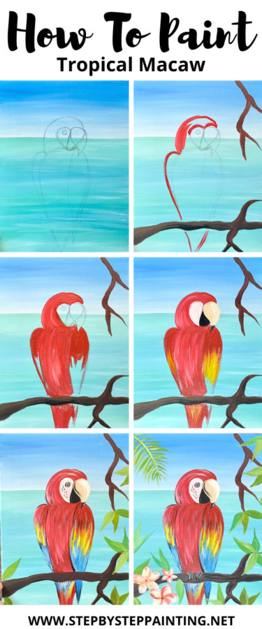 Tropical Macaw Parrot Painting - Tracie Kiernan - Step By Step Painting