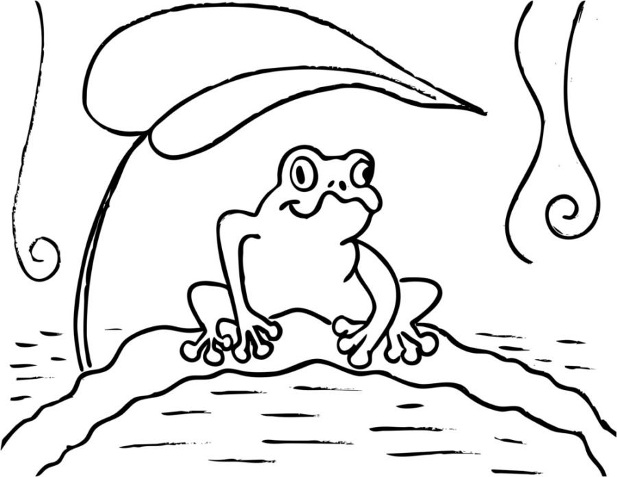 Frog Painting - Acrylic Tutorial For Beginners