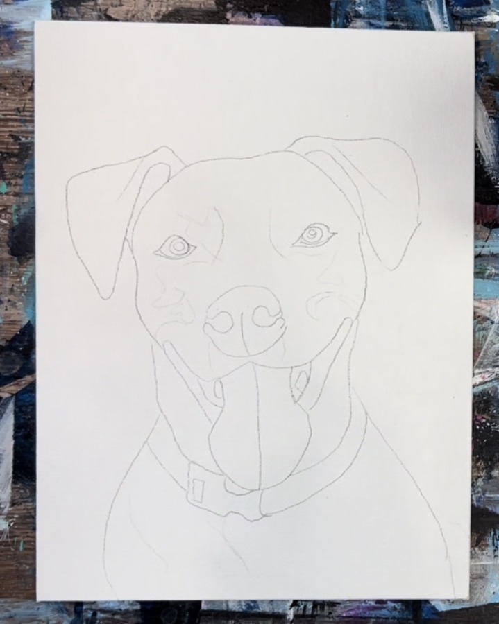 Pet Portraits - How To Paint Your Pet - Online Acrylic Tutorial ...