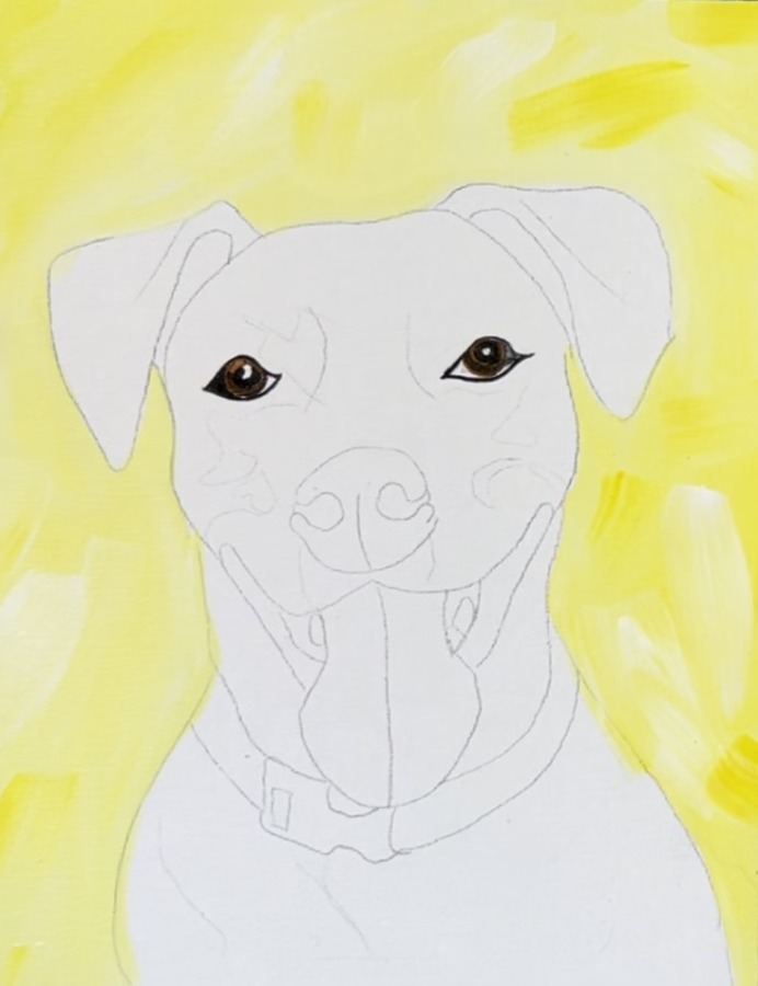 Pet Portraits - How To Paint Your Pet - Online Acrylic Tutorial ...