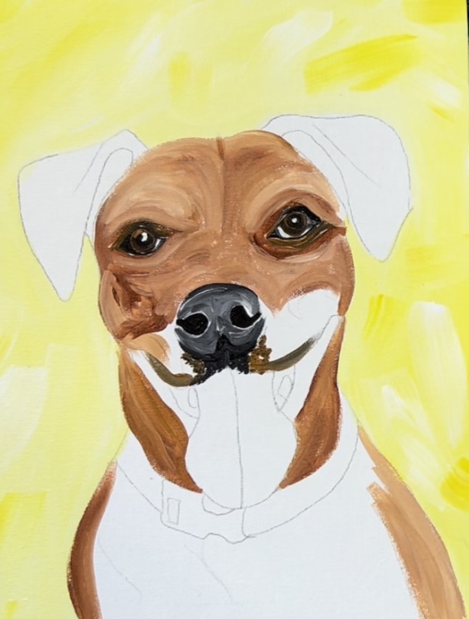 Pet Portraits - How To Paint Your Pet - Online Acrylic Tutorial ...