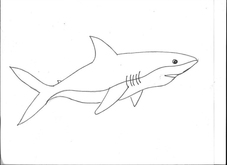 Shark Painting - Step By Step Online Acrylic Tutorial