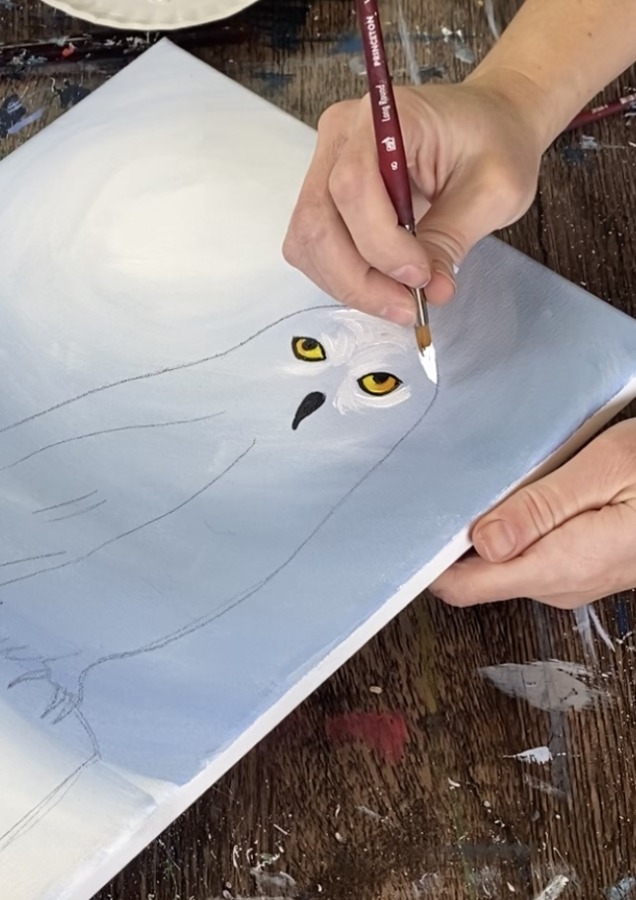 Owl Painting - Acrylic Online Tutorial