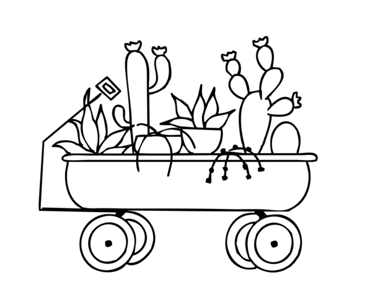 Cactus Succulent Wagon Traceable - You Can Grow Your Own Way - Tracie ...
