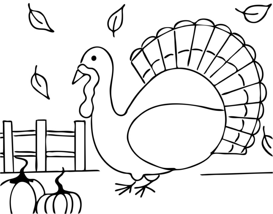 Turkey Traceable - Printable Template - Tracie Kiernan - Step By Step ...