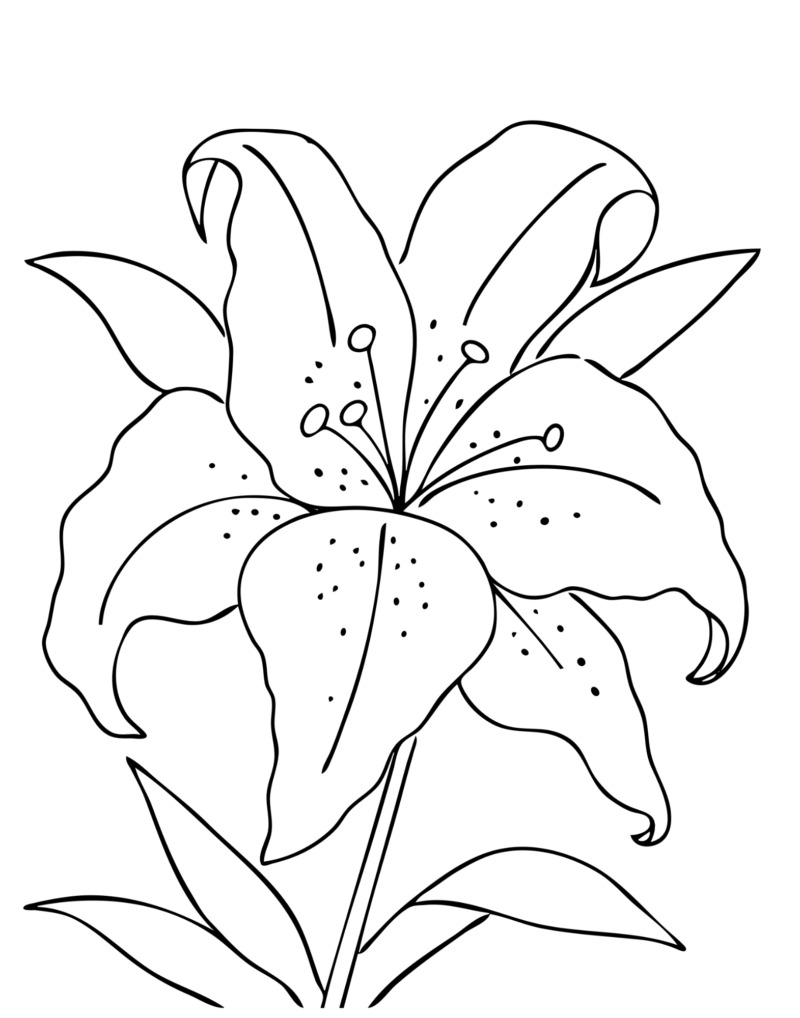 Painting Templates - 100+ Free Templates For Canvas Painting