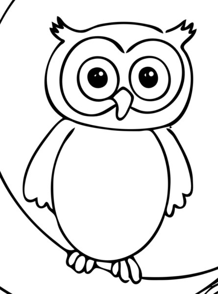 Crescent Night Owl - Acrylic Painting Tutorial - Tracie Kiernan - Step ...