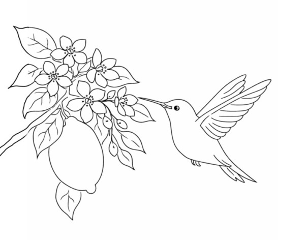 Hummingbird Lemon Blossoms - Acrylic Painting Tutorial + Free Template ...